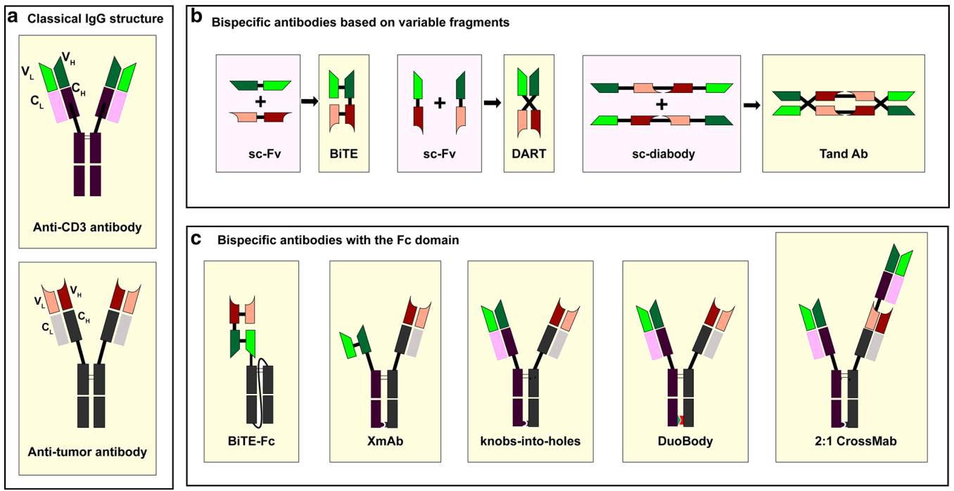 【双抗大有可为】2022双抗大飞跃 - 自主发布 - 生物在线 Lab-on-Web