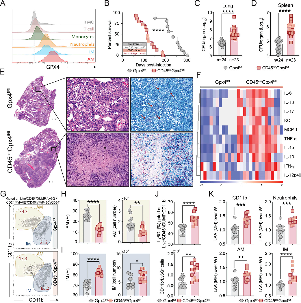 Gpx4/GSH抗氧化轴挽救Mtb感染中细胞坏死和宿主耐药 - 企业动态 - 丁香通