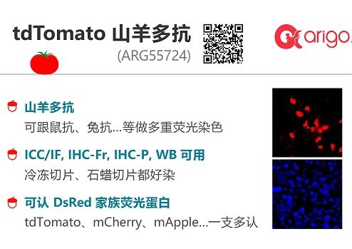 出自诺奖的 tdTomato ...... - 企业动态 - 丁香通