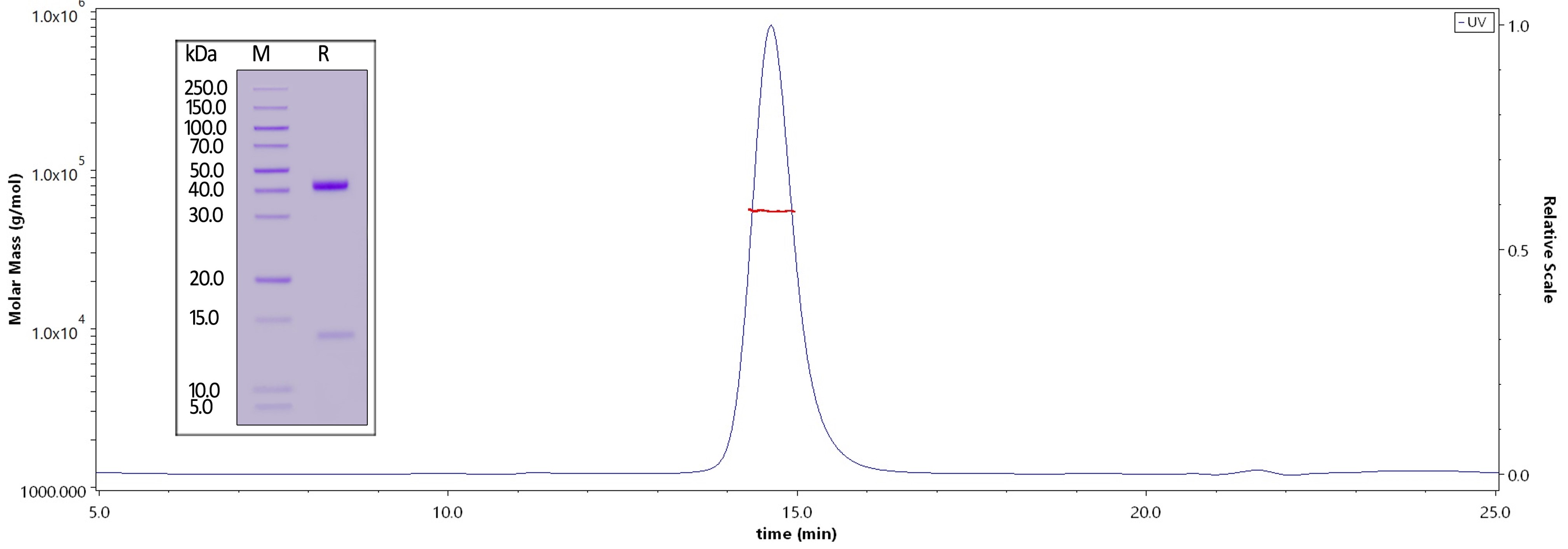 特色新品—MHC-多肽复合物四聚体Tetramer ! -公司新闻-北京百普赛斯生物科技股份有限公司
