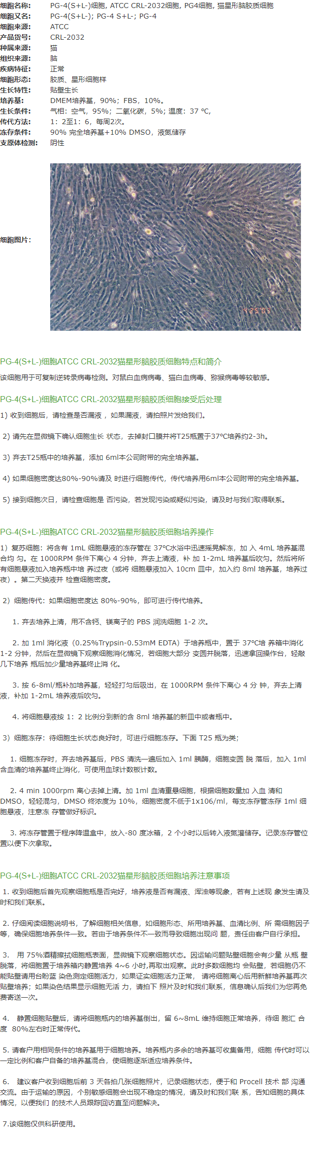 PG-4(S+L-)细胞, ATCC CRL-2032细胞, PG4细胞, 猫星形脑胶质细胞价格_品牌:华纳细胞库-丁香通
