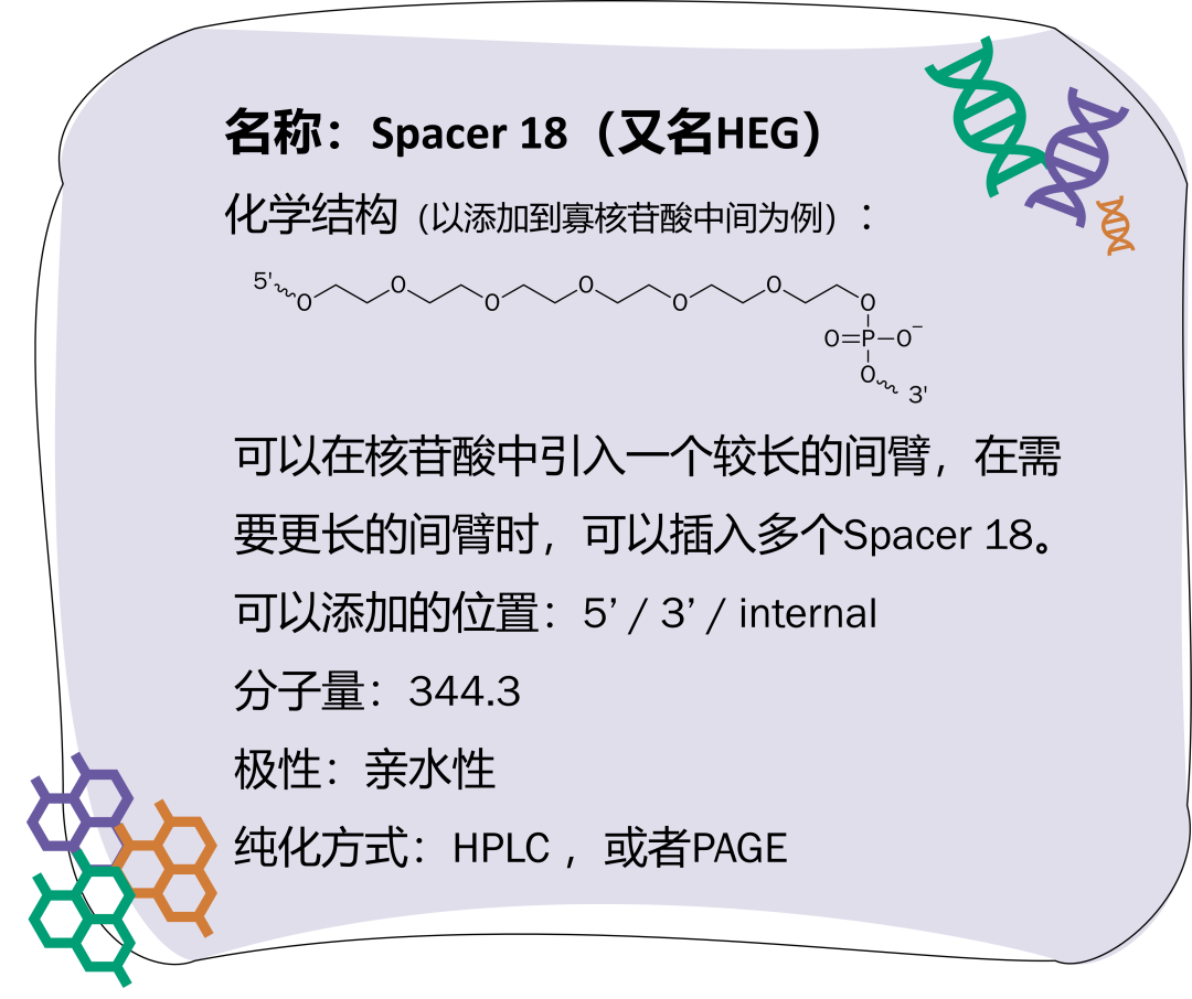 距离产生美——浅谈寡核苷酸 spacer 修饰的作用 - 企业动态 - 丁香通