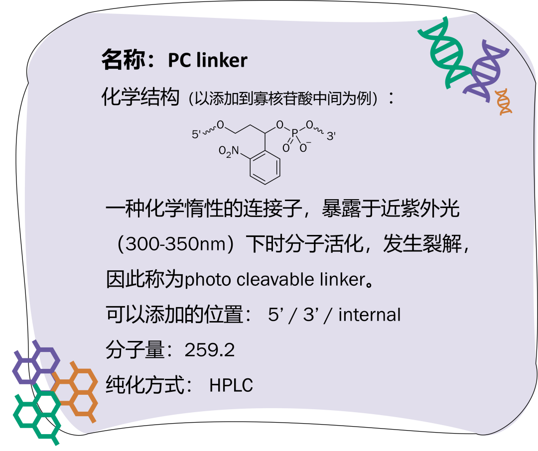 距离产生美——浅谈寡核苷酸 spacer 修饰的作用-公司新闻-Azenta安升达