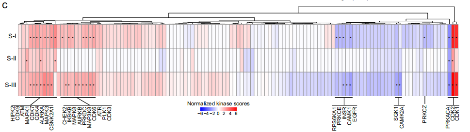 NC IF17! 浙江省肿瘤医院程向东/覃江江教授团队揭示食管胃结合部腺癌的综合蛋白质组学特征-公司新闻-上海吉凯基因医学科技股份有限公司