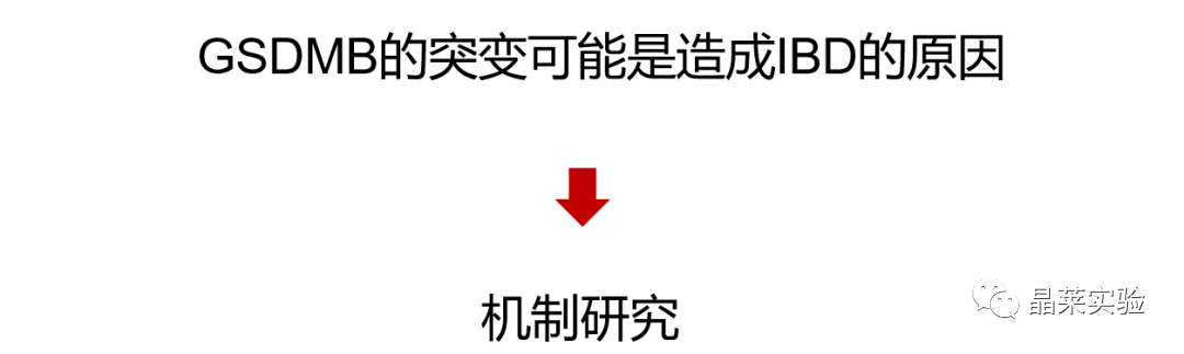国自然热点“细胞焦亡”之 GSDMB不依赖于焦亡来调节上皮的修复-技术资料-晶莱生物