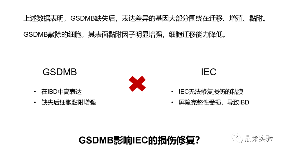 国自然热点“细胞焦亡”之 GSDMB不依赖于焦亡来调节上皮的修复-技术资料-晶莱生物