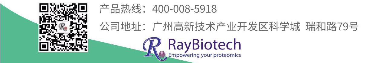 RayBiotech产品-技术资料-瑞博奥（广州）生物科技股份有限公司