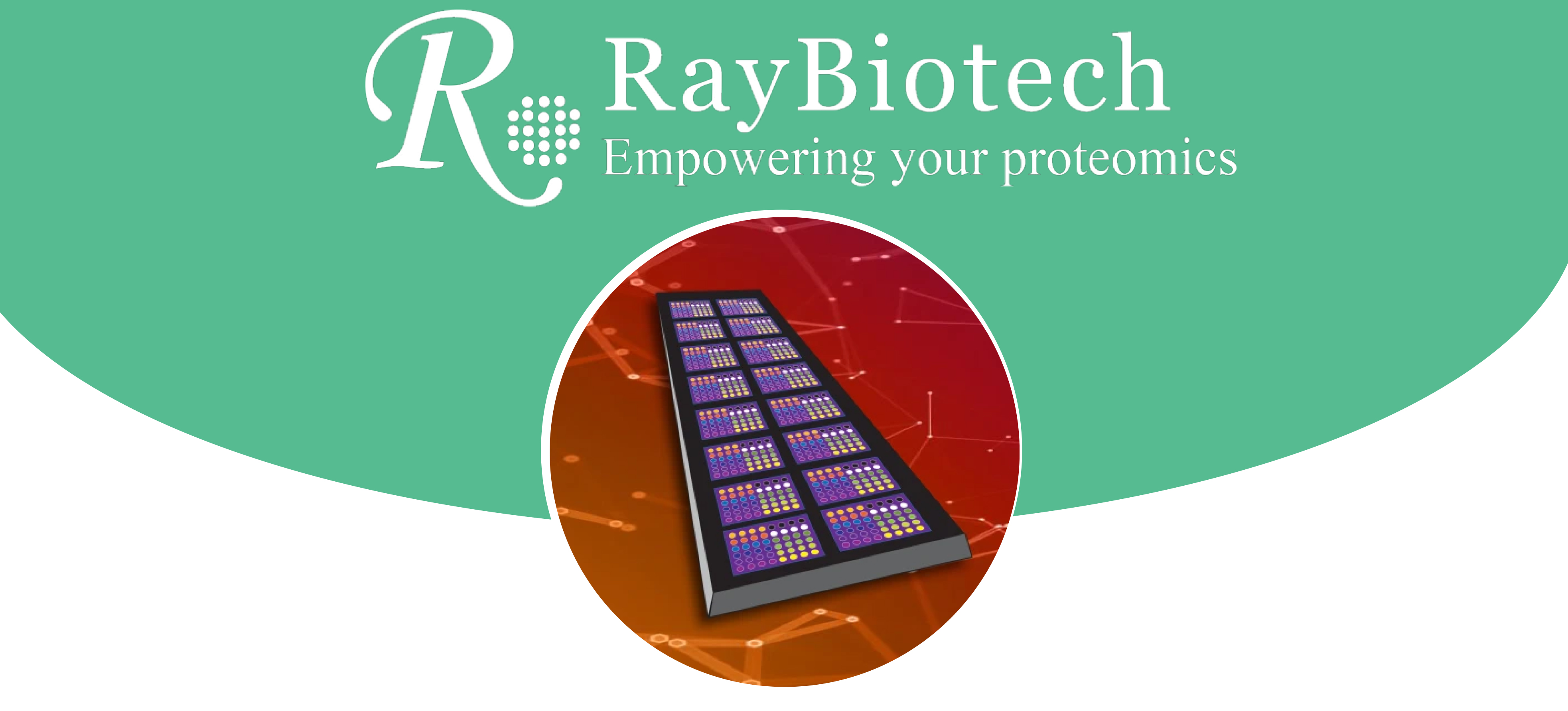 RayBiotech产品-技术资料-瑞博奥（广州）生物科技股份有限公司