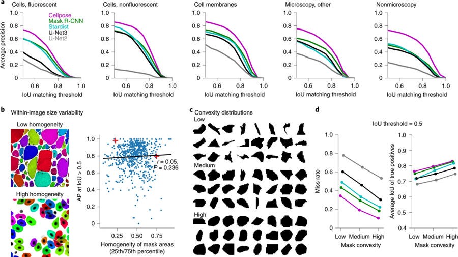 科技前沿 | "AI的狂飙" Cellpose: 细胞分割领域的ChatGPT-公司新闻-仪景通光学科技（上海）有限公司