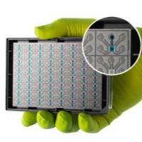 MIMETAS中国_公司主页-丁香通