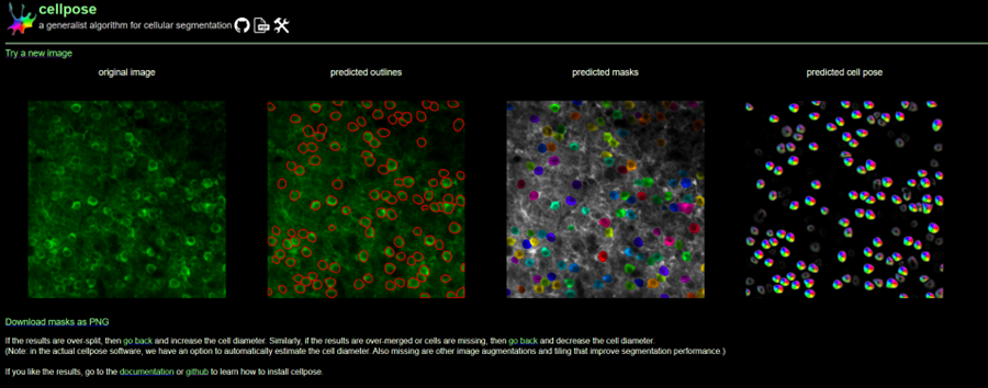 科技前沿 | "AI的狂飙" Cellpose: 细胞分割领域的ChatGPT-公司新闻-仪景通光学科技（上海）有限公司