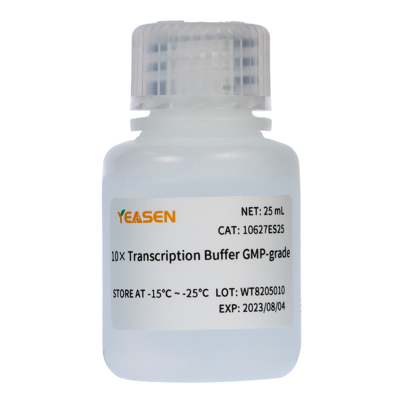 T7 RNA聚合酶转录缓冲液 10×Transcription Buffer GMP-grade价格_品牌:翌圣生物（Yeasen）-丁香通