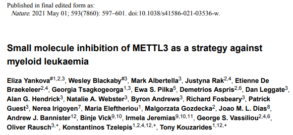 Nature｜METTL3 的小分子抑制剂治疗急性髓性白血病-公司新闻-广州卿泽生物科技有限公司