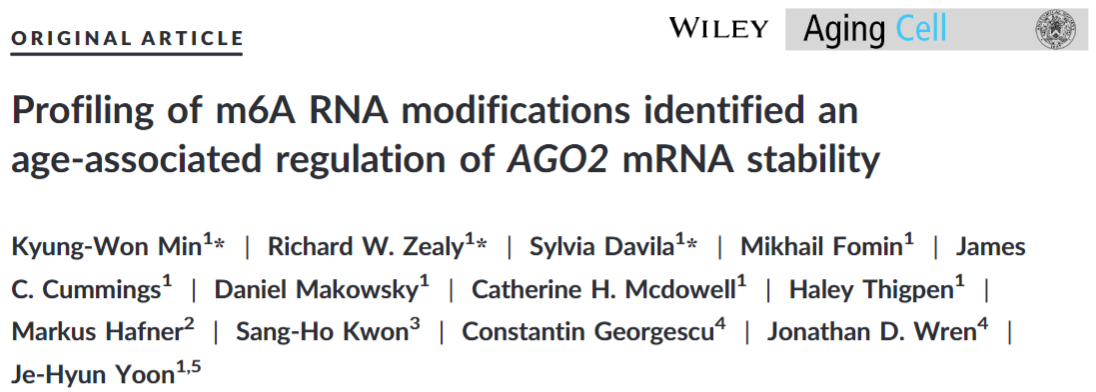 Aging Cell l m6A RNA修饰会影响与年龄相关的AGO2基因的稳定性-公司新闻-广州卿泽生物科技有限公司