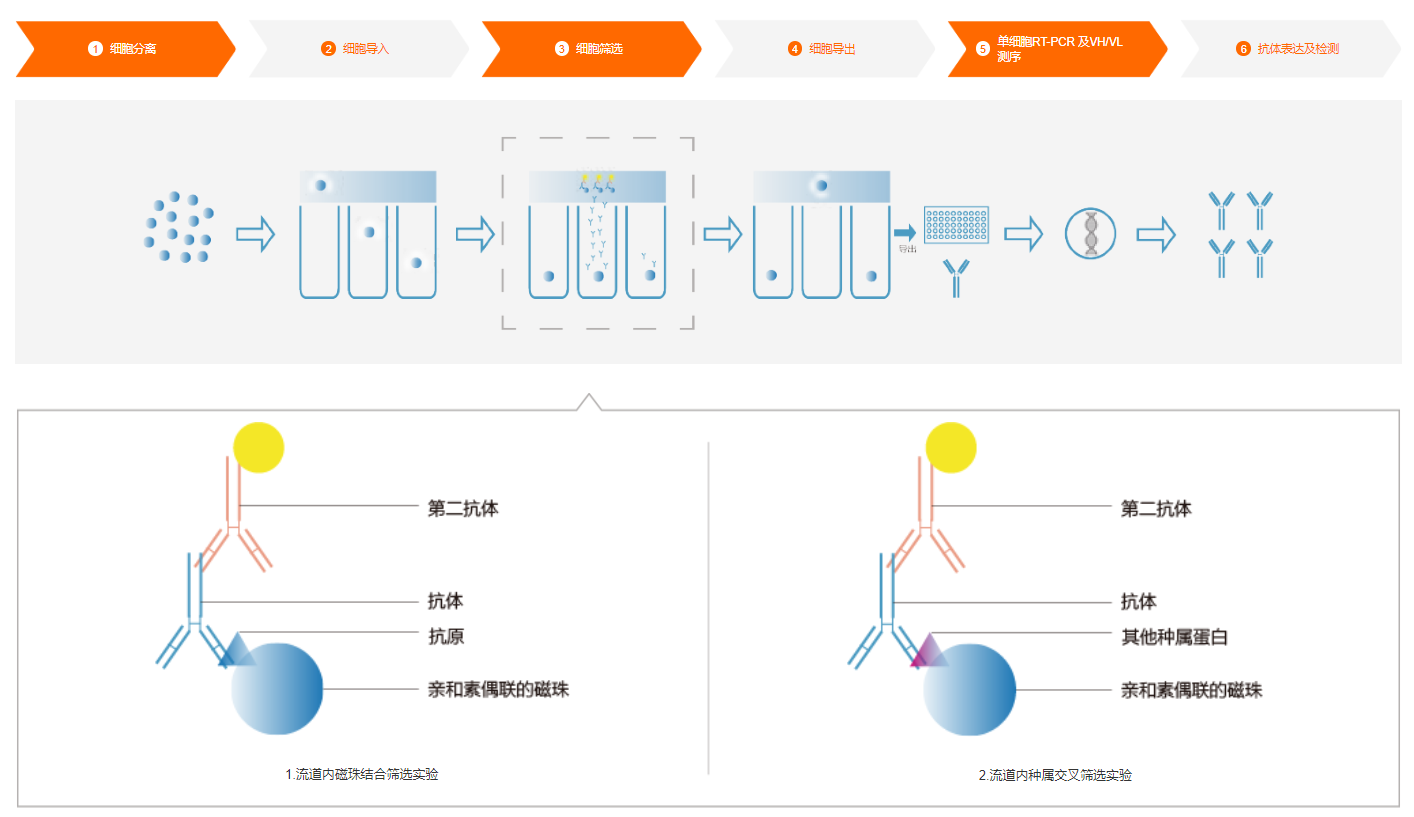 LyTARS™ 高通量单细胞光导系统价格_品牌:彩科生物-丁香通官网
