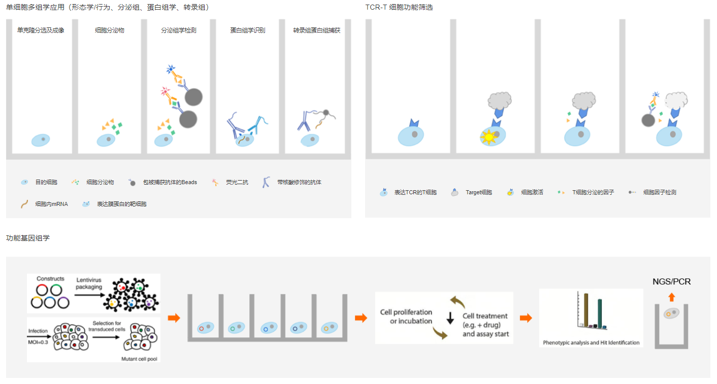 LyTARS™ 高通量单细胞光导系统价格_品牌:彩科生物-丁香通官网