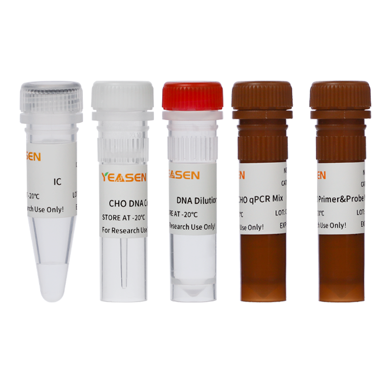 CHO宿主细胞DNA残留检测试剂盒(2G)价格_品牌:翌圣生物（Yeasen）-丁香通官网