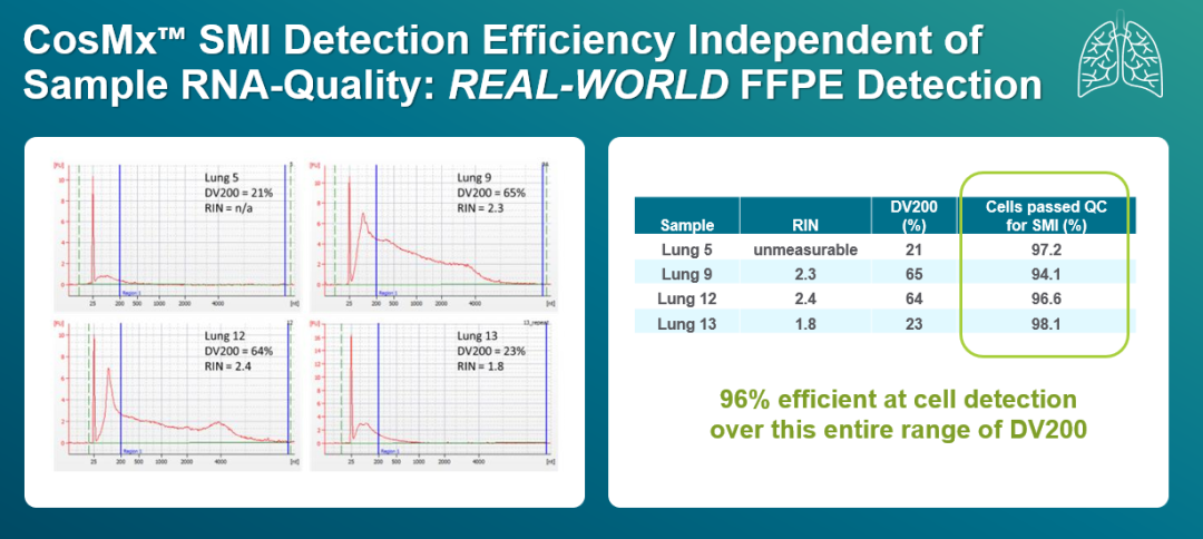 【从幕后到台前】CosMx™ SMI超多靶标单细胞空间原位分子成像系统的研发故事 - 企业动态 - 丁香通