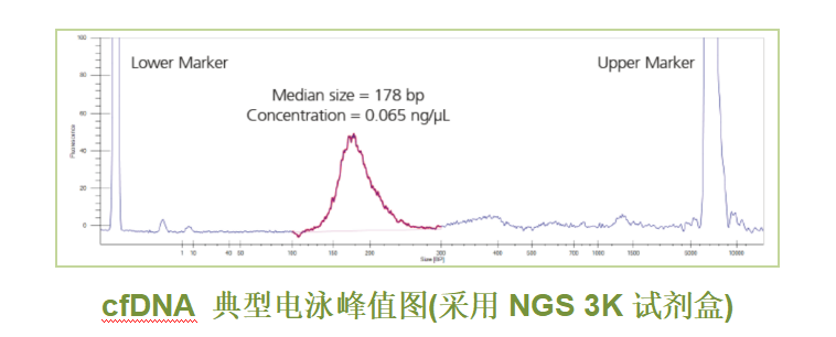 LabChip® GX Touch™核酸分析仪_报价/价格/性能参数/图, revvity_生物器材网