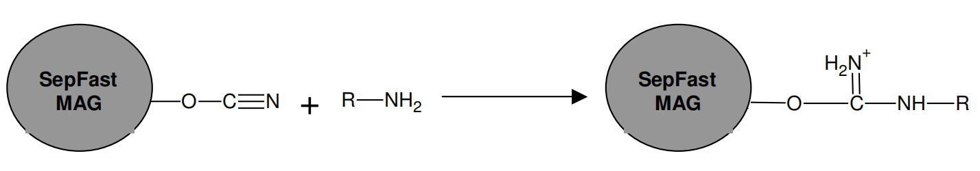 BioToolomics之CNBr活化磁性琼脂糖色谱填料产品特性 - 企业动态 - 丁香通