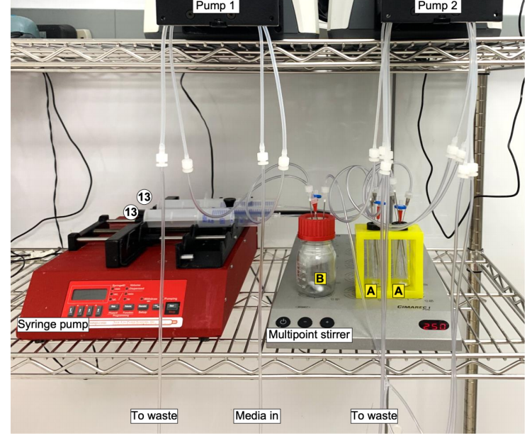 知识分享 | PACE——蛋白质定向进化新方法 - 企业动态 - 丁香通