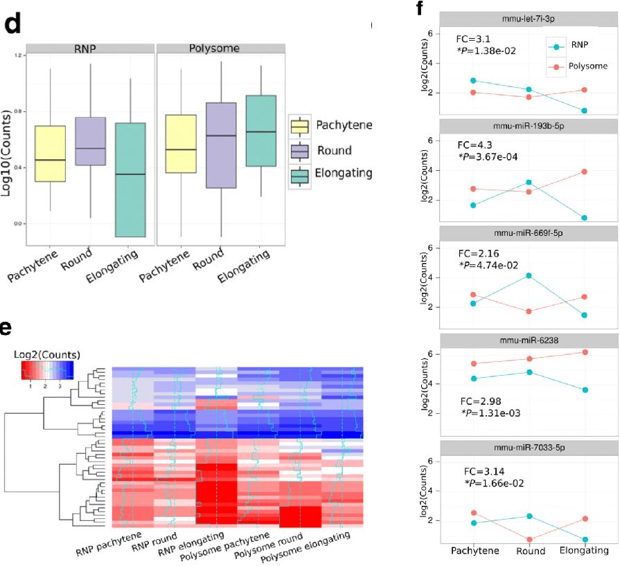 Genome Biol. |MicroRNAs通过3' UTR长度来控制mRNA的区室化-公司新闻-广州卿泽生物科技有限公司