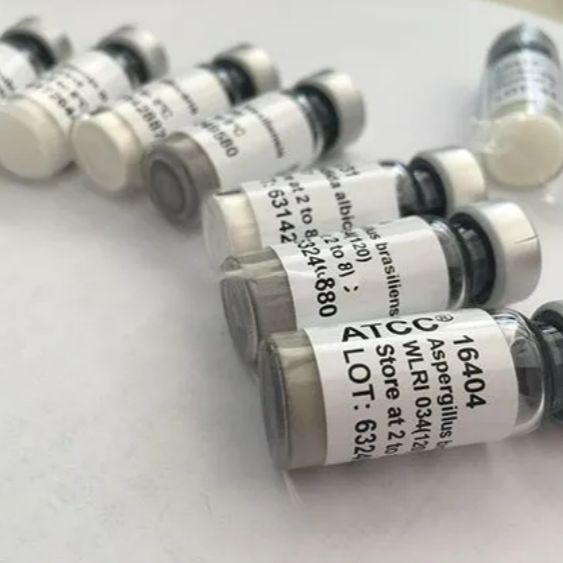 ATCC CF44.Mg细胞价格_品牌:ATCC-丁香通官网