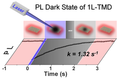 FRAP显微镜在化学和材料科学中的应用 - 企业动态 - 丁香通