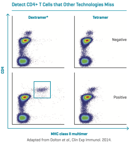 抗原特异性免疫细胞研究神器— Immudex Dextramer 多聚体-公司新闻-上海仁科生物科技有限公司
