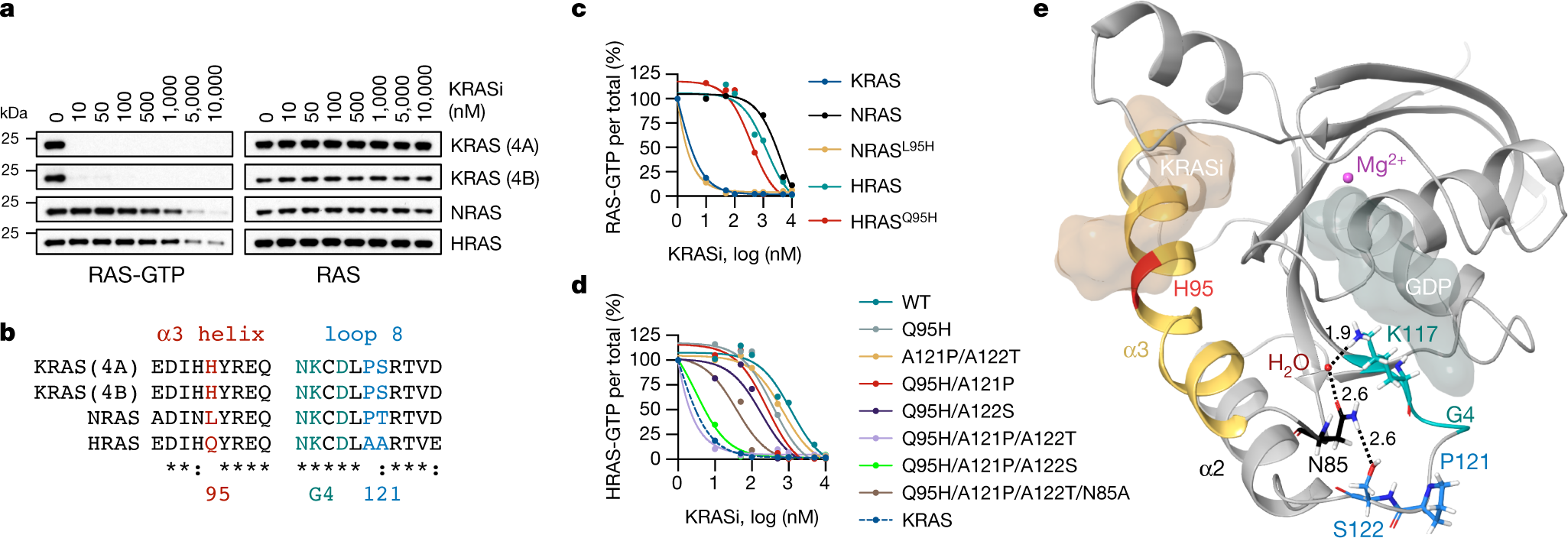 Nature重磅丨“不可成药”靶点又一新突破！可抑制98%KRAS驱动癌症-公司新闻-TargetMol中国