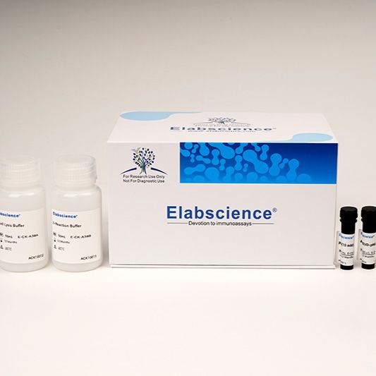 Caspase 1活性检测试剂盒(分光光度法)价格_品牌:Elabscience-丁香通官网