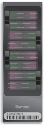 Illumina 935K甲基化芯片检测服务价格_品牌:-丁香通官网