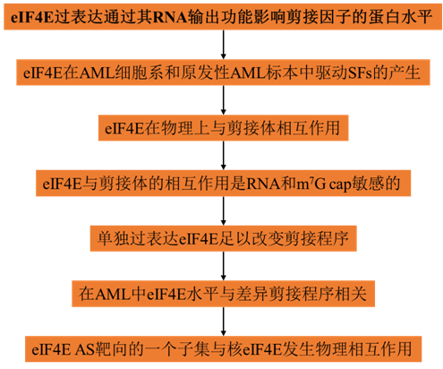 eIF4E重编程可变剪接 - 企业动态 - 丁香通