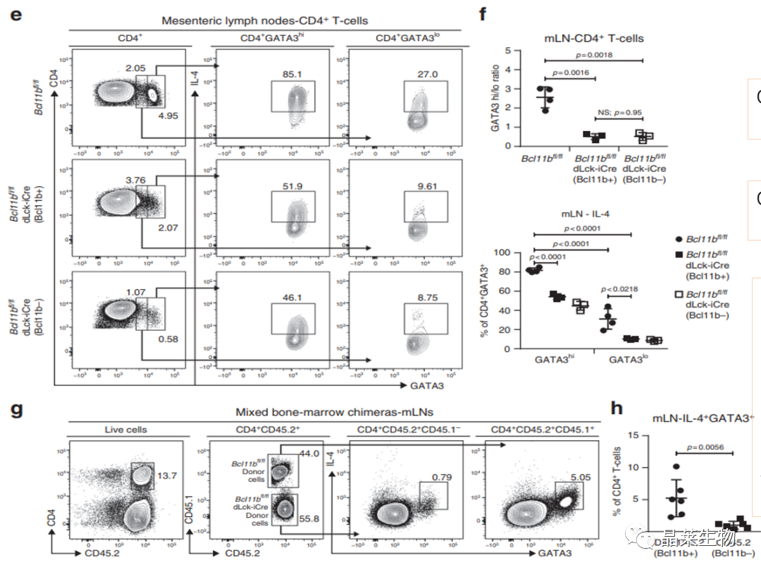 国自然热点“转录调控”之 Bcl11b对于在蠕虫感染和过敏性哮喘期间Th2分化至关重要-公司新闻-晶莱生物