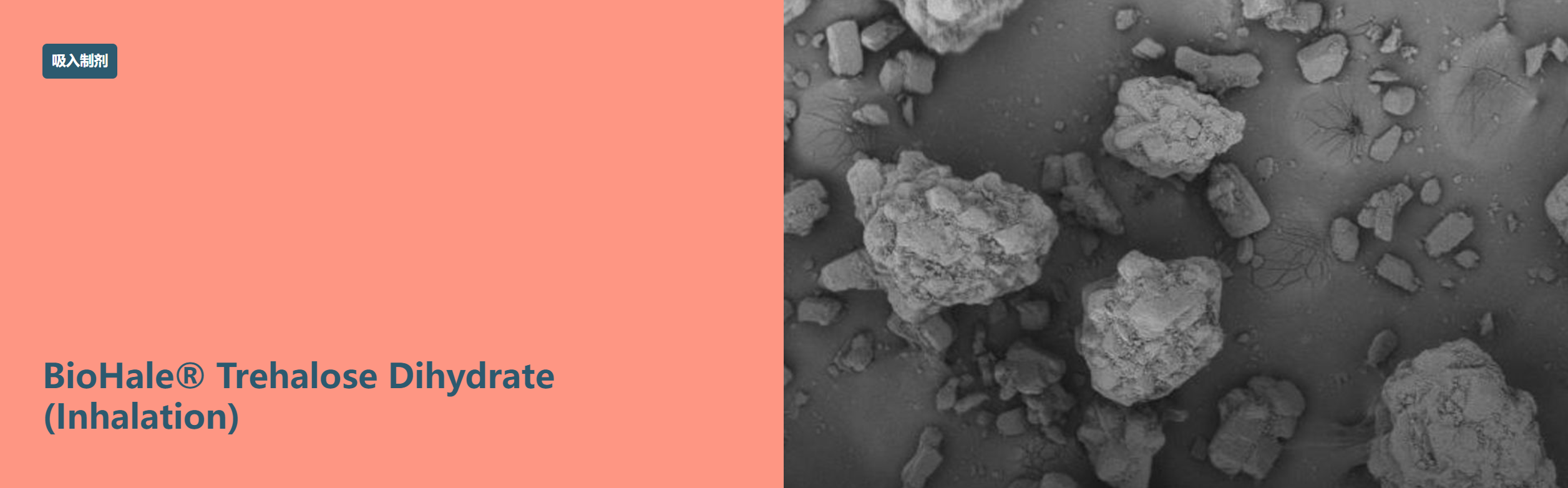 【药辅品牌】BioHale®蔗糖和BioHale®海藻糖——DFE Pharma生物制剂药用辅料系列①-公司新闻-罗辅医药科技（上海）有限公司