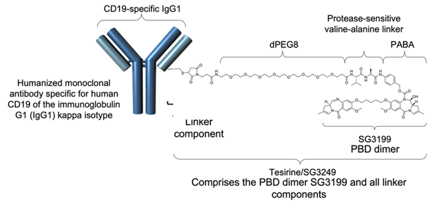 PEG衍生物在ADC Linker中的应用-公司新闻-北京键凯科技股份有限公司