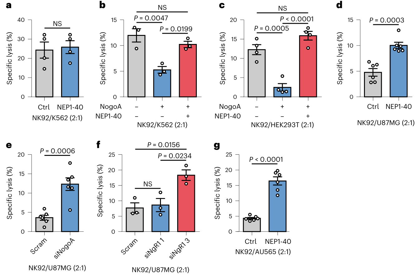 【NEPA21文献 】Nat Immunol | 研究人员发现调控NK细胞杀伤靶细胞的新机制_化工仪器网