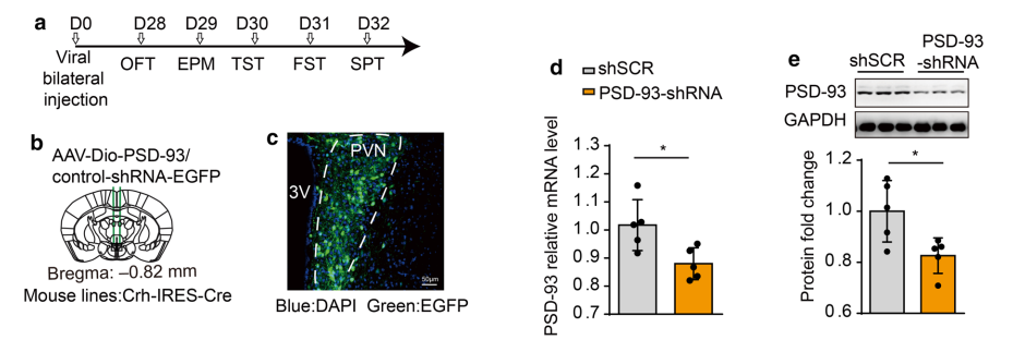 从原理到应用，Cre/Loxp及相关重组酶系统大全-公司新闻-汉恒生物科技（上海）有限公司