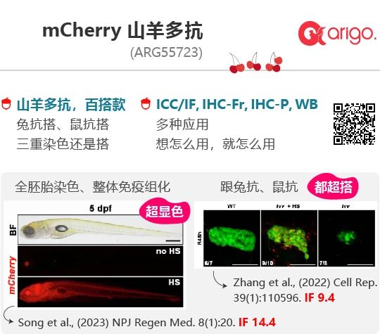 mCherry 红樱桃甜甜发 IF 14 文献 - 企业动态 - 丁香通
