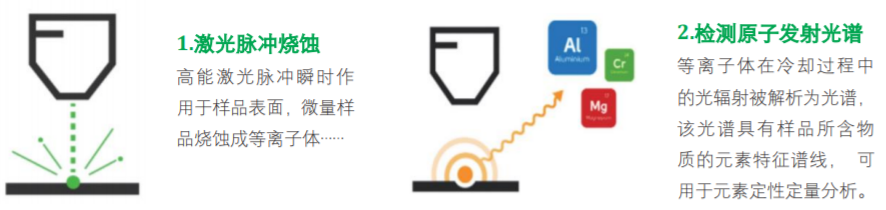 FireFly LIBS元素分布成像快速测量系统在医学和动物中的应用 - 企业动态 - 丁香通