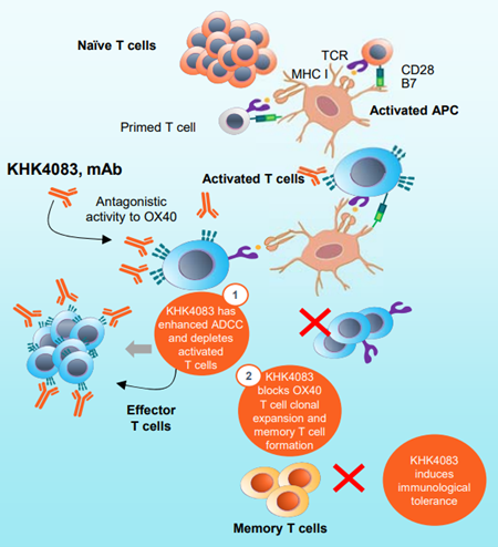安进12.5亿美元引进！OX40在自身免疫疾病领域高歌猛进 - 企业动态 - 丁香通