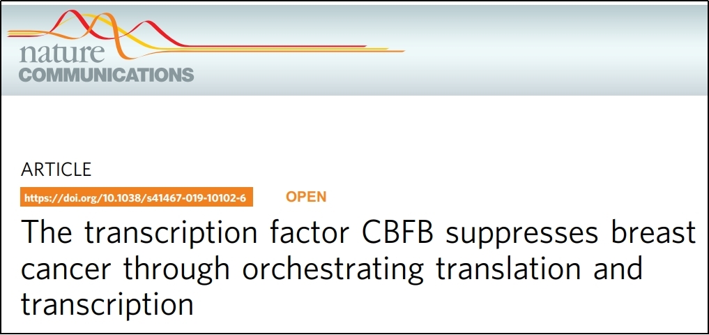 Nat Commun.|转录因子CBFB通过协调翻译和转录抑制乳腺癌 - 企业动态 - 丁香通