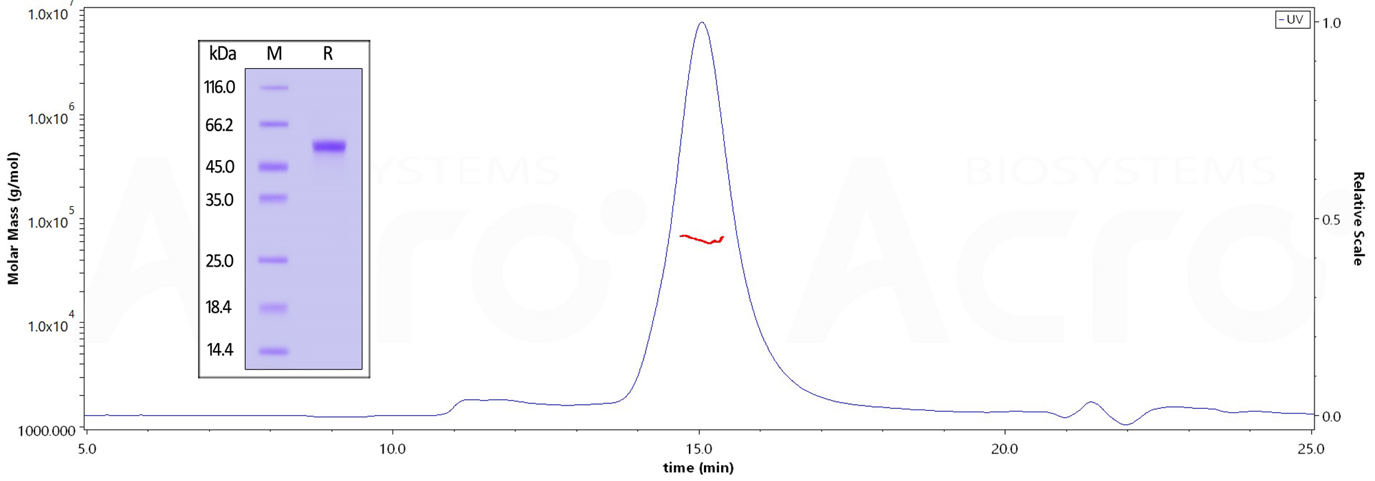 CD40 Ligand：免疫治疗的新星，中国首-款药物IBI355获批临床试验-公司新闻-北京百普赛斯生物科技股份有限公司