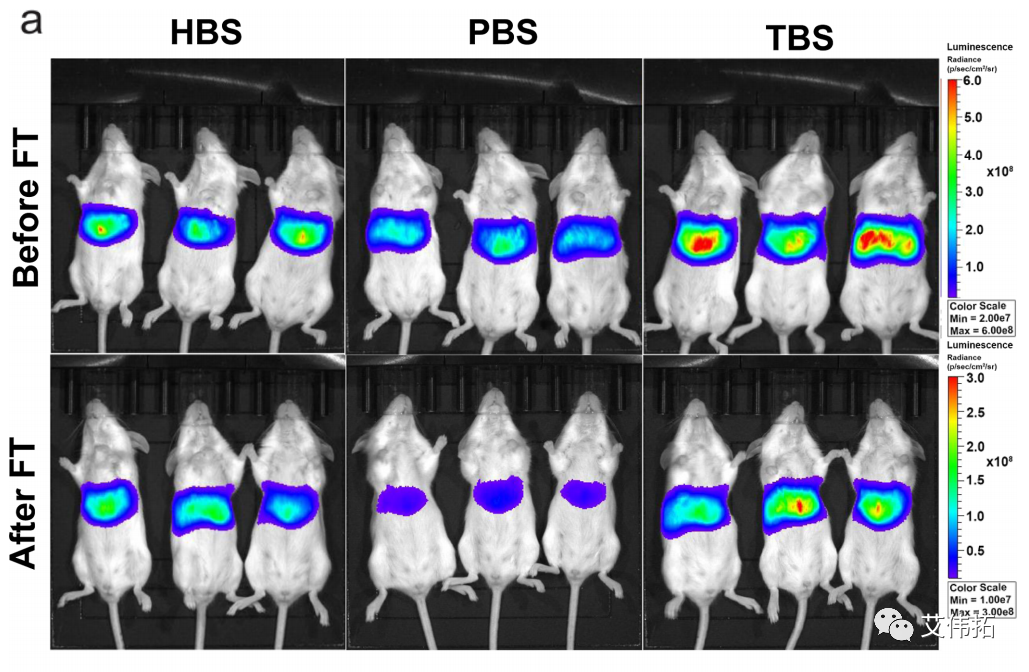 论文研究（二）| 缓冲体系可能对LNP的性质与稳定性有较大影响_化工仪器网
