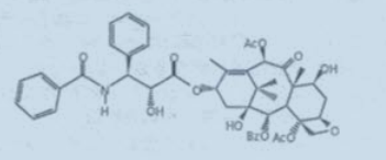 注射用紫杉醇（白蛋白结合型）（科瑞菲）