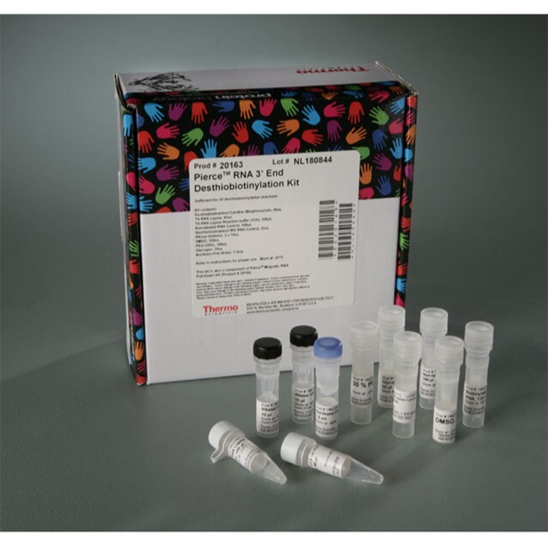 Thermo Scientific20163Pierce RNA 3' End Desthiobiotinylation Kit RNA 3 ...