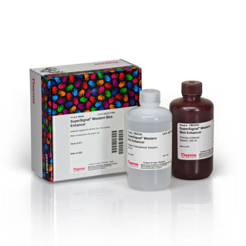 Thermo Scientific 46640 SuperSignal™ Western Blot Enhancer价格_品牌:Thermo ...