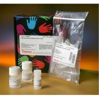 Roche罗氏04906837001磷酸酶抑制剂片，PhosSTOP™价格_品牌:Roche-丁香通