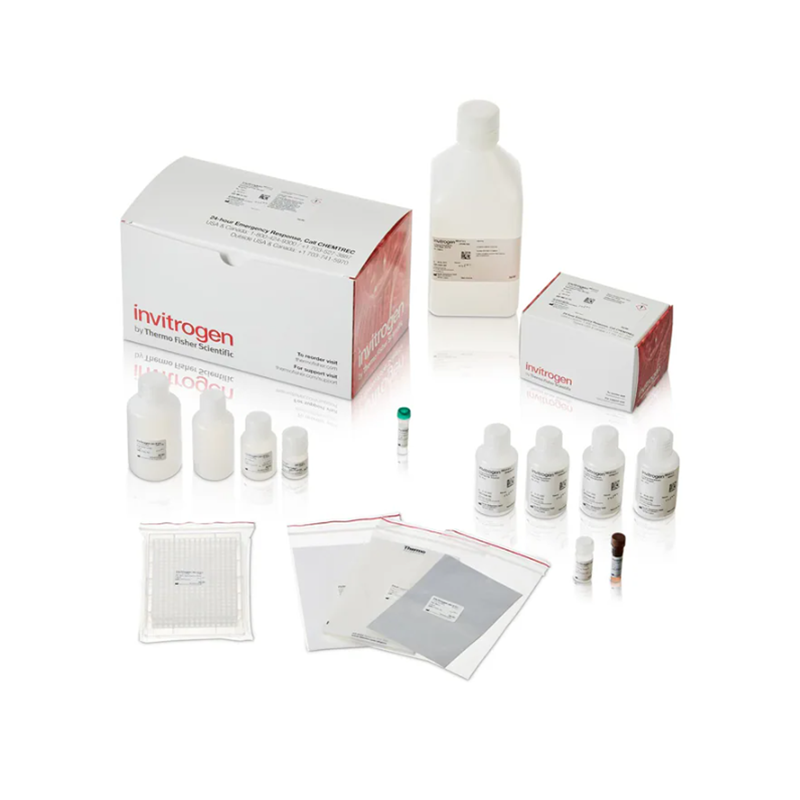 Qubit Rna Hs Assay Kit (Thermofisher Q32852) at Edward Johns blog