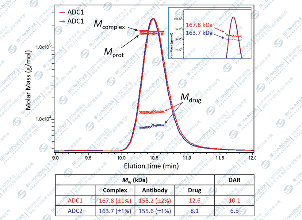 ADC药物DAR值测定-技术资料-北京百泰派克生物科技有限公司